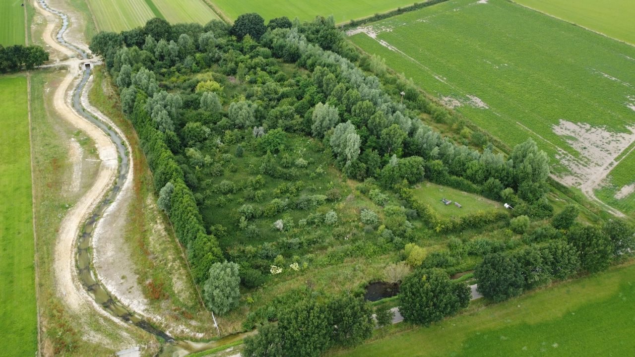 Food Forests - Biodiverse Farming